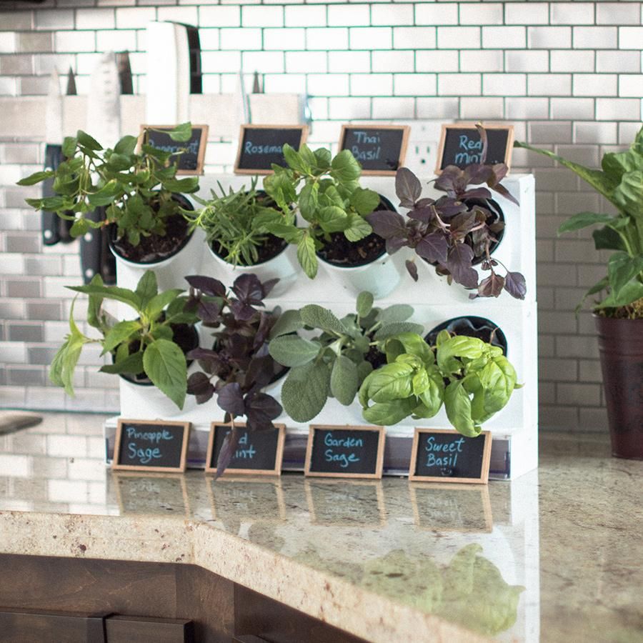 Self Contained Herb Gardens CONtained GARden