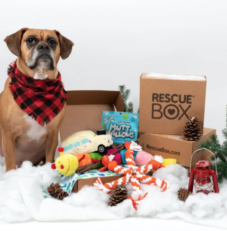 Rescue box for dogs store