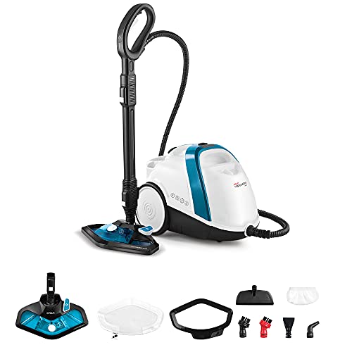 Best steam cleaner for home store