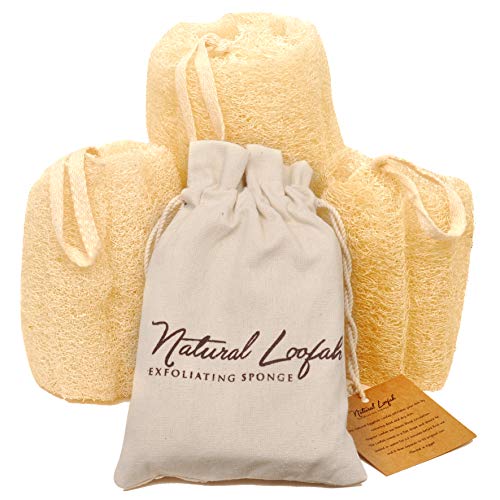 The 9 Best Loofahs for Clean Smooth Skin 2023